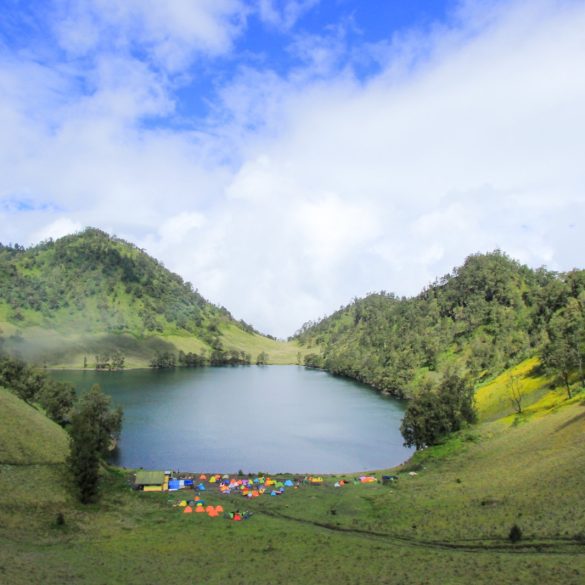 Informasi Lengkap Bus Macito Malang: Jadwal, Rute, Cara Beli Tiket dan ...